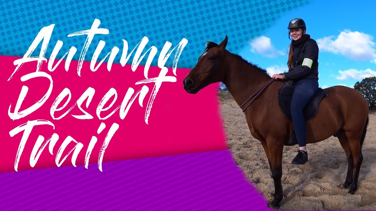 Free Riding GoPro Horse Edit - Autumn Desert Trail - YouTube