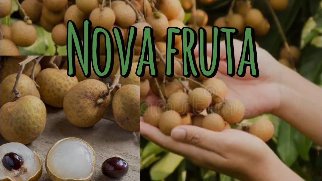 Uma nova fruta no pomar! - YouTube
