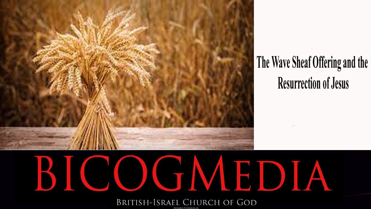 The Watchman Program- The Wave Sheaf Offering and Resurrection of Jesus ...