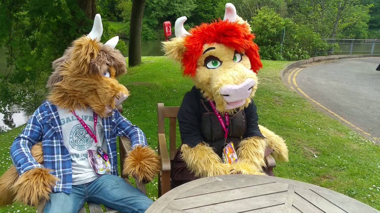 Confuzzled 2016 - YouTube