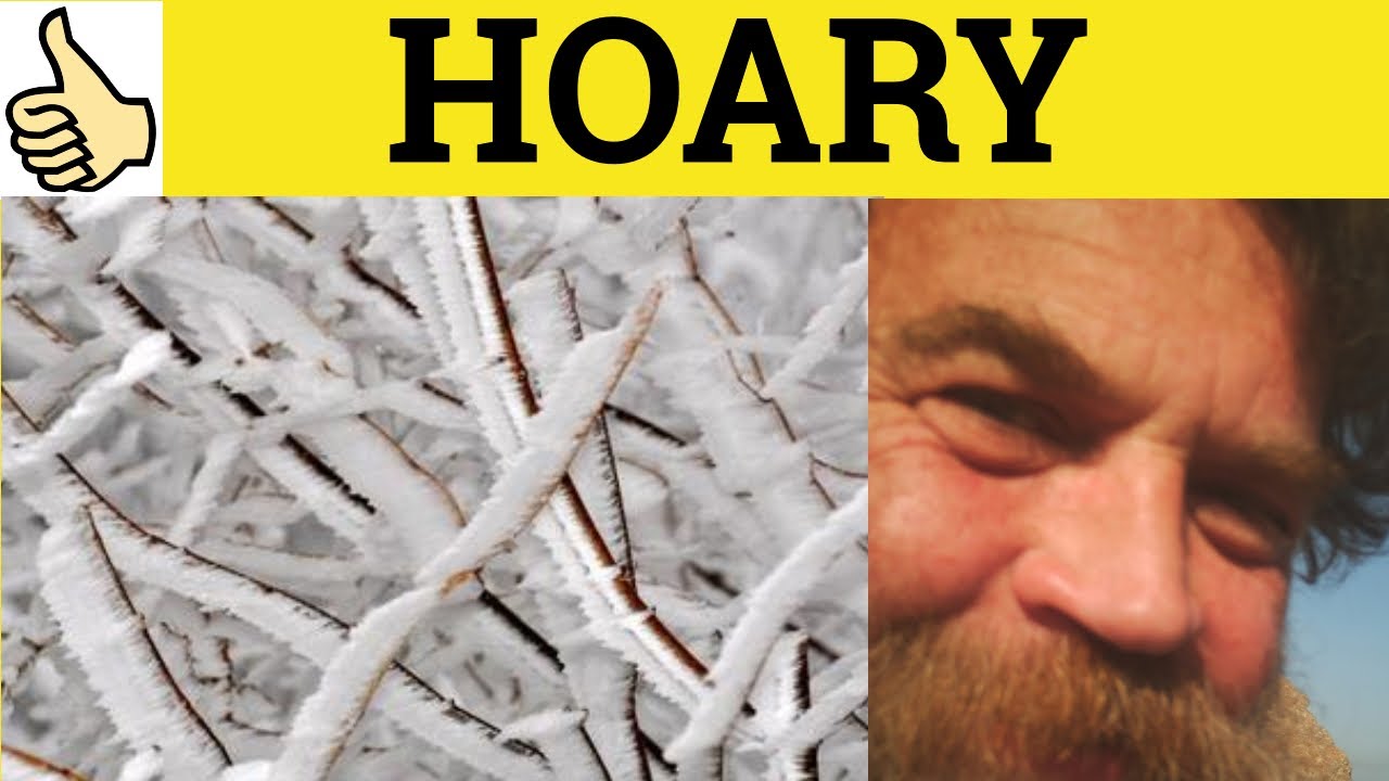 🔵Hoary Defined - Hoar Definition - Hoary Meaning - Hoary Examples Hoary ...