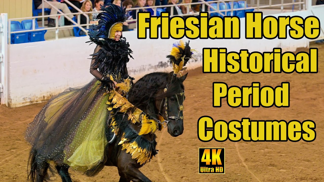 Horse Show Costume Class