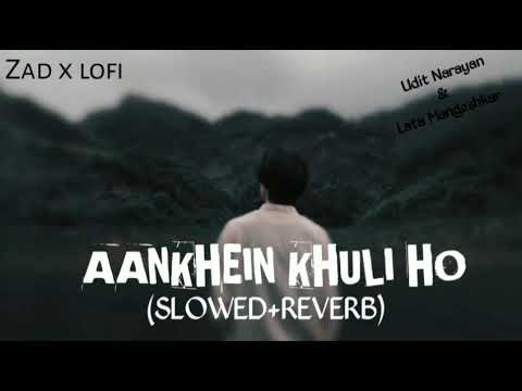 Aankhein Khuli Ho | (Slowed+Reverb) | Lata Mangeskar-Udit Narayan | Mohabbatein(2000) | Lofi Song