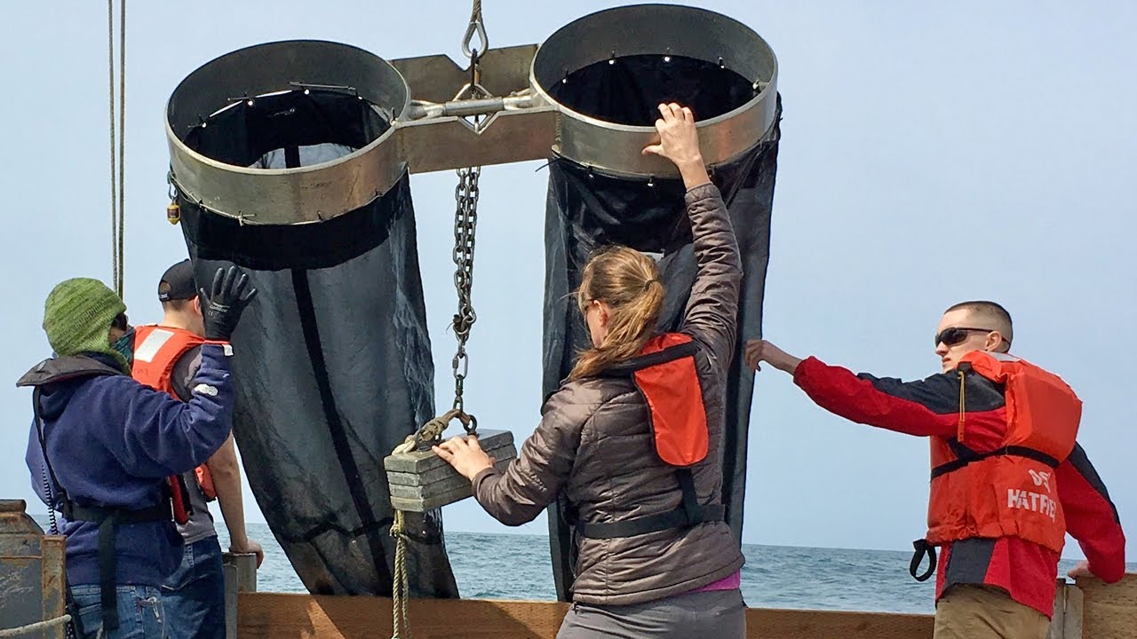 Careers in Science: Jami Ivory and Taylor Chapple - YouTube