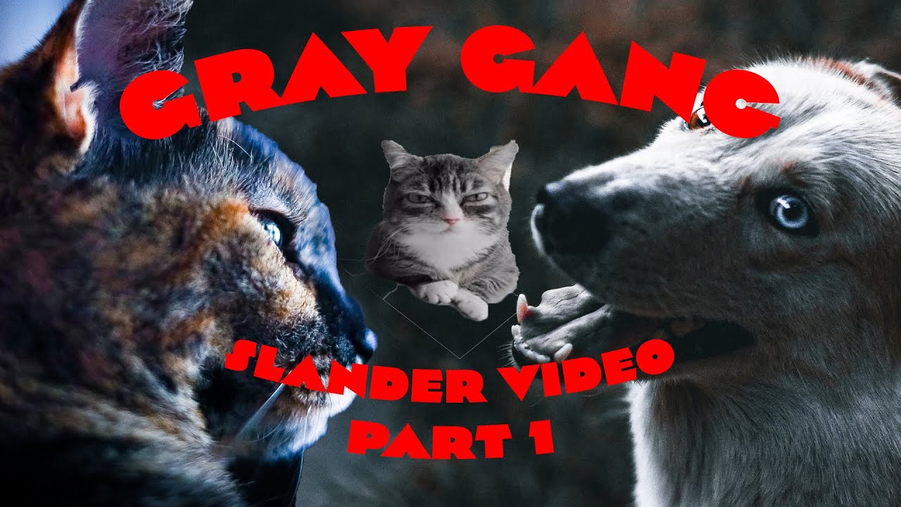 Gray Gang Slander - YouTube