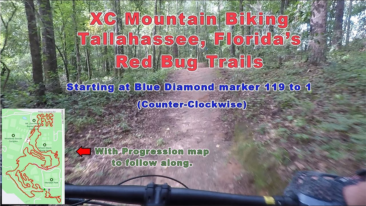XC Mountain Biking Red Bug Trail (Counter-Clockwise) - Tallahassee ...