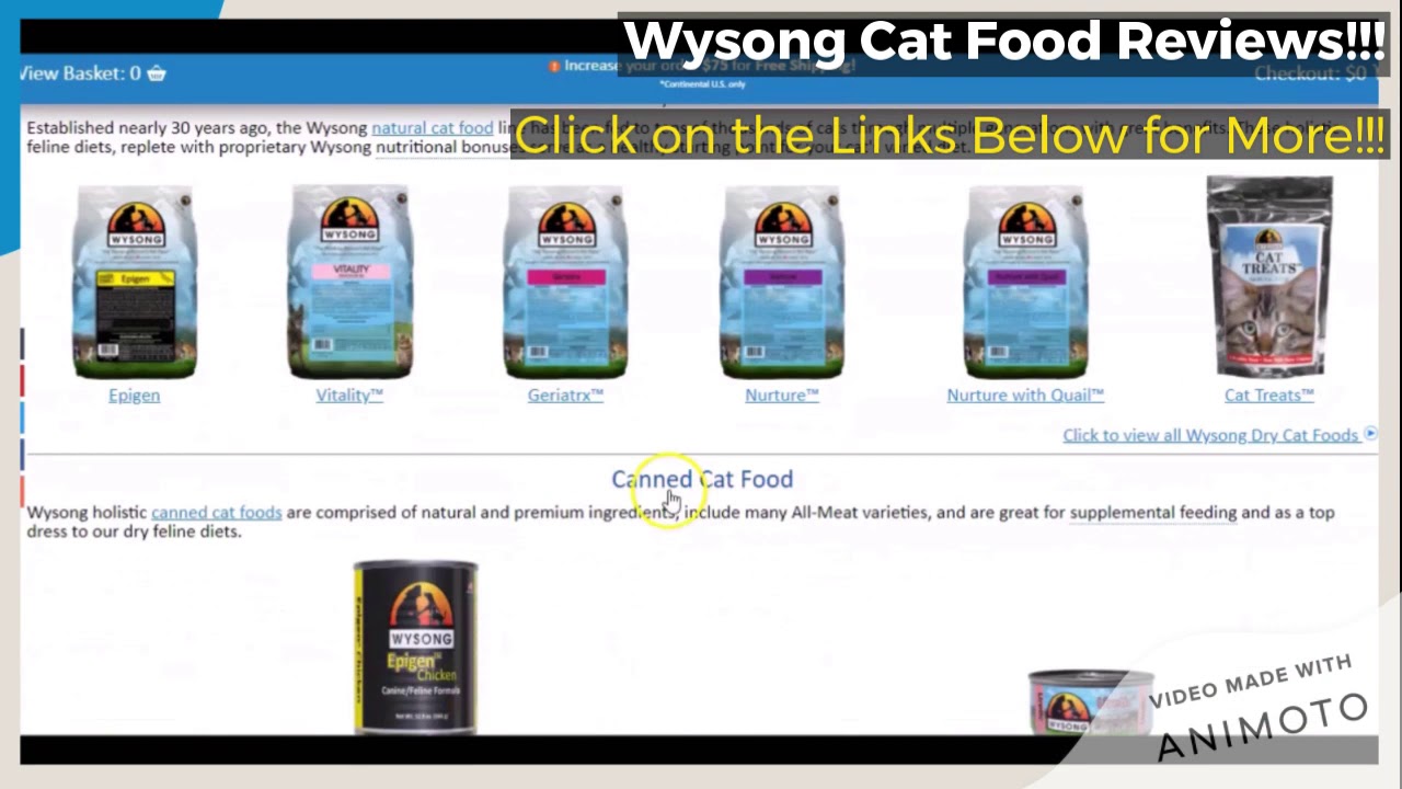 Wysong Cat Food Reviews 2021!!! - Where to Buy Wysong Cat Food Online ...