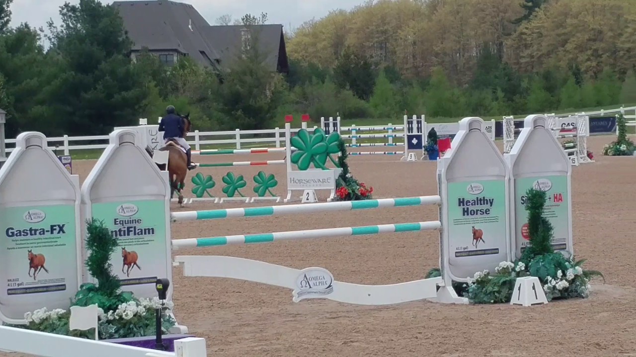 Knightwood Stables - Jenny $15,000 modified grand prix 1.35 May '17 ...