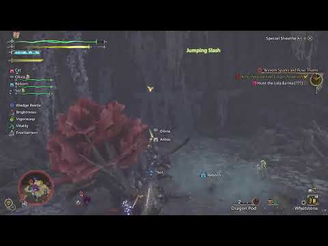 Monhun fun - YouTube