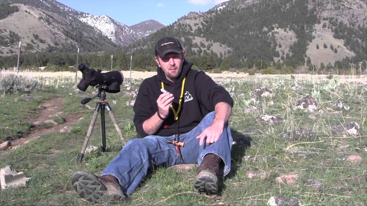 Predator Hand Calls: Pros & Cons - YouTube