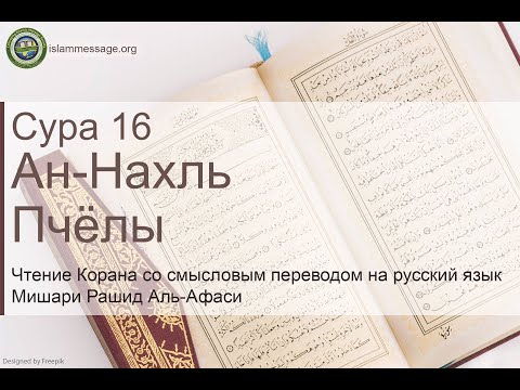 Коран Сура 16 ан-Нахль (Пчёлы) русский | Мишари Рашид Аль-Афаси