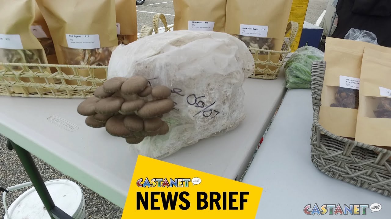 Making mushrooms - YouTube