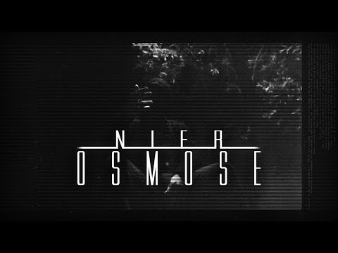 NifR - Osmose