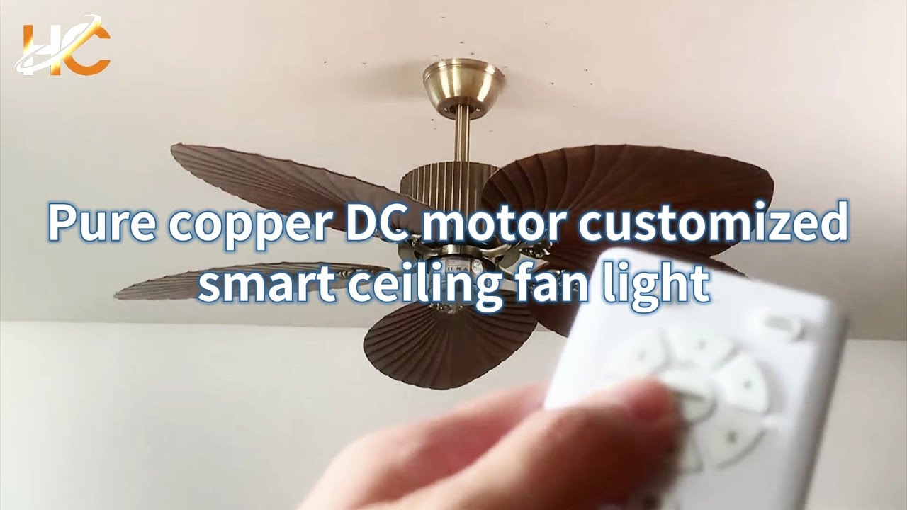 Pure copper DC motor customized smart ceiling fan light - YouTube