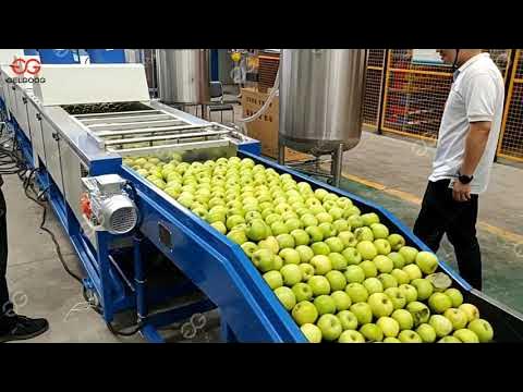 Apple Washing Waxing Sorting Production Line - YouTube