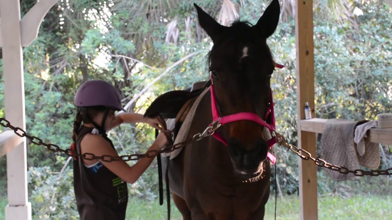 A day at Casperey Stables - YouTube