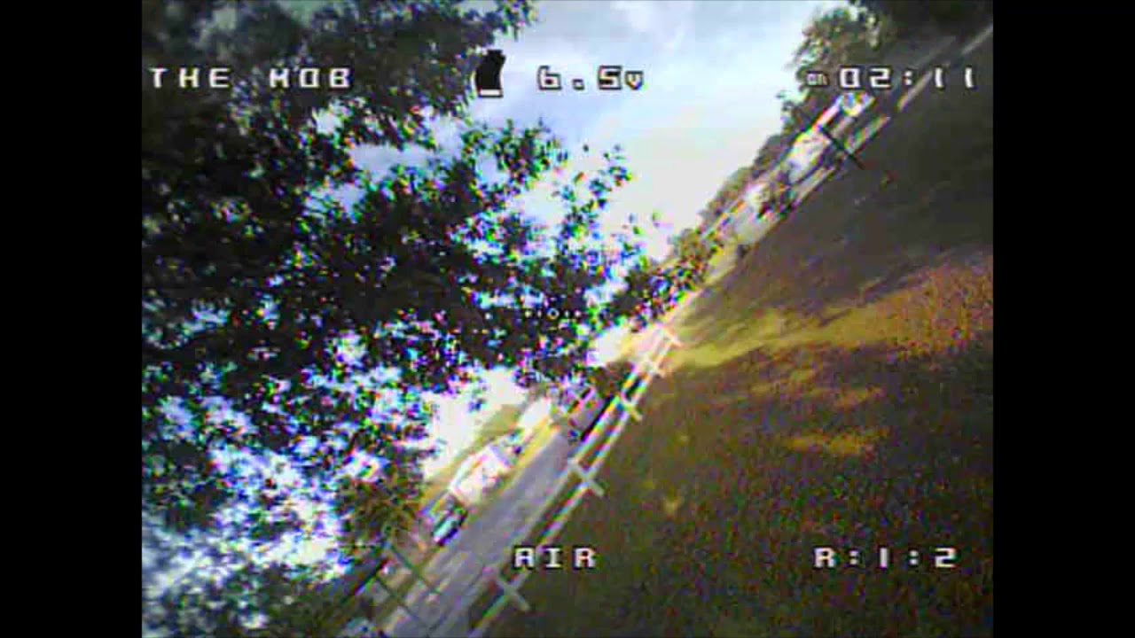 tiny whoop tree teleport - YouTube