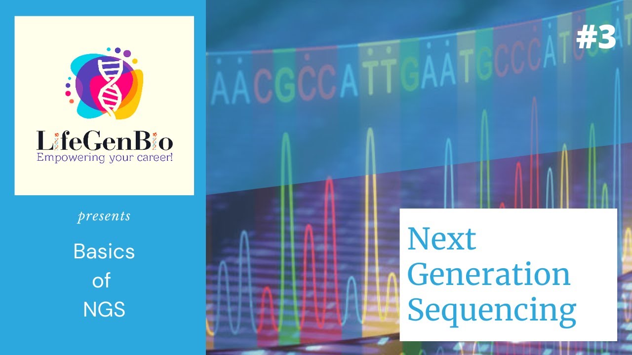 Basics of NGS #3 | LifeGenBio - YouTube