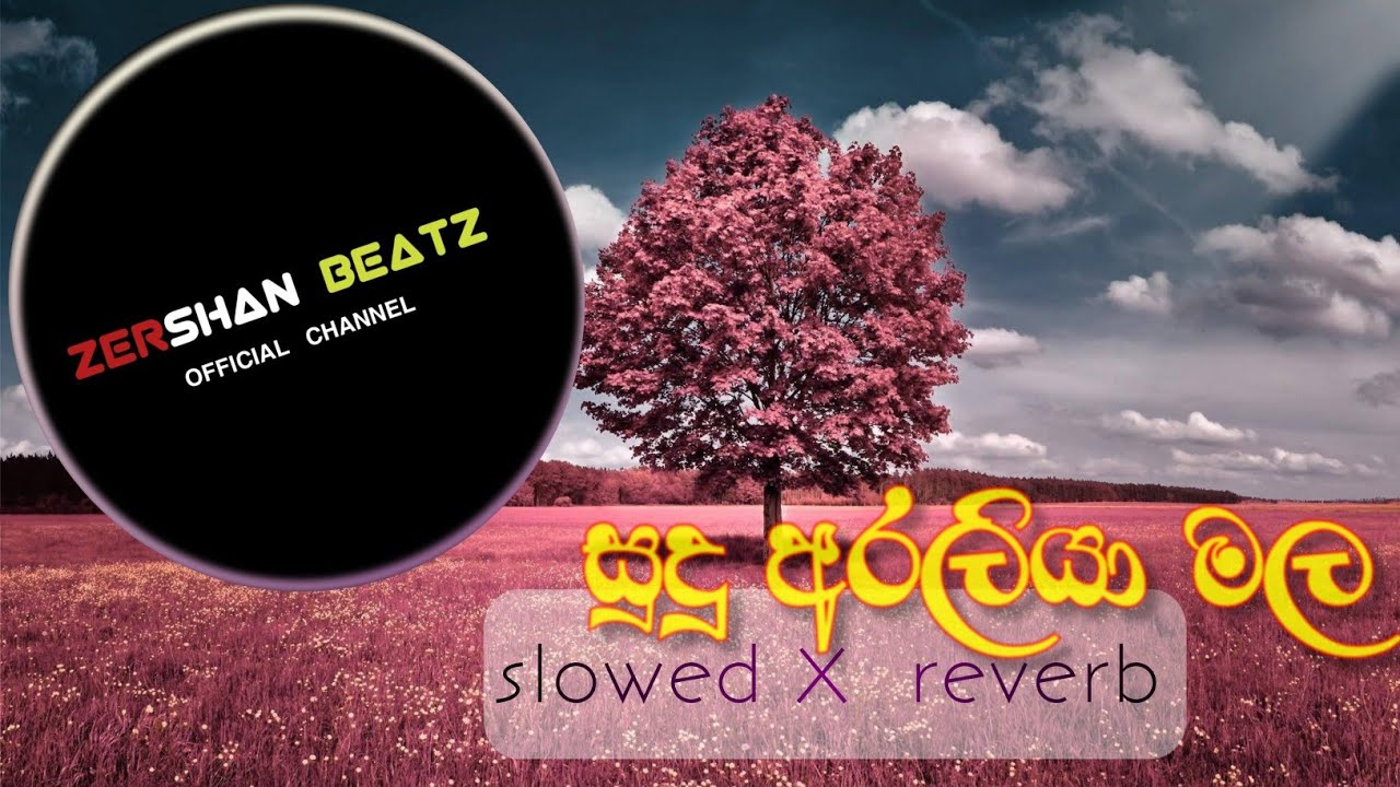 Sudu araliya mala slowed and reverb/ sir Ajith Muthukumara /Zershan ...