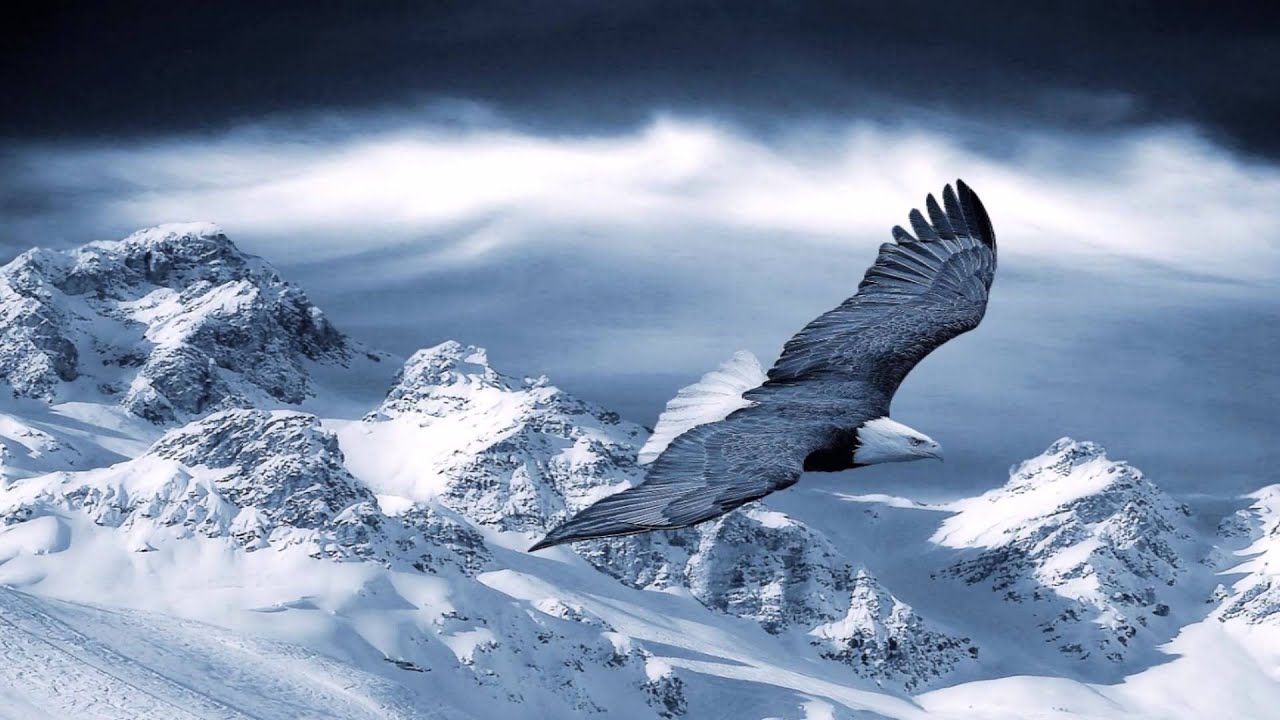 Fly Jason Upton (Angeles Cantando) - YouTube