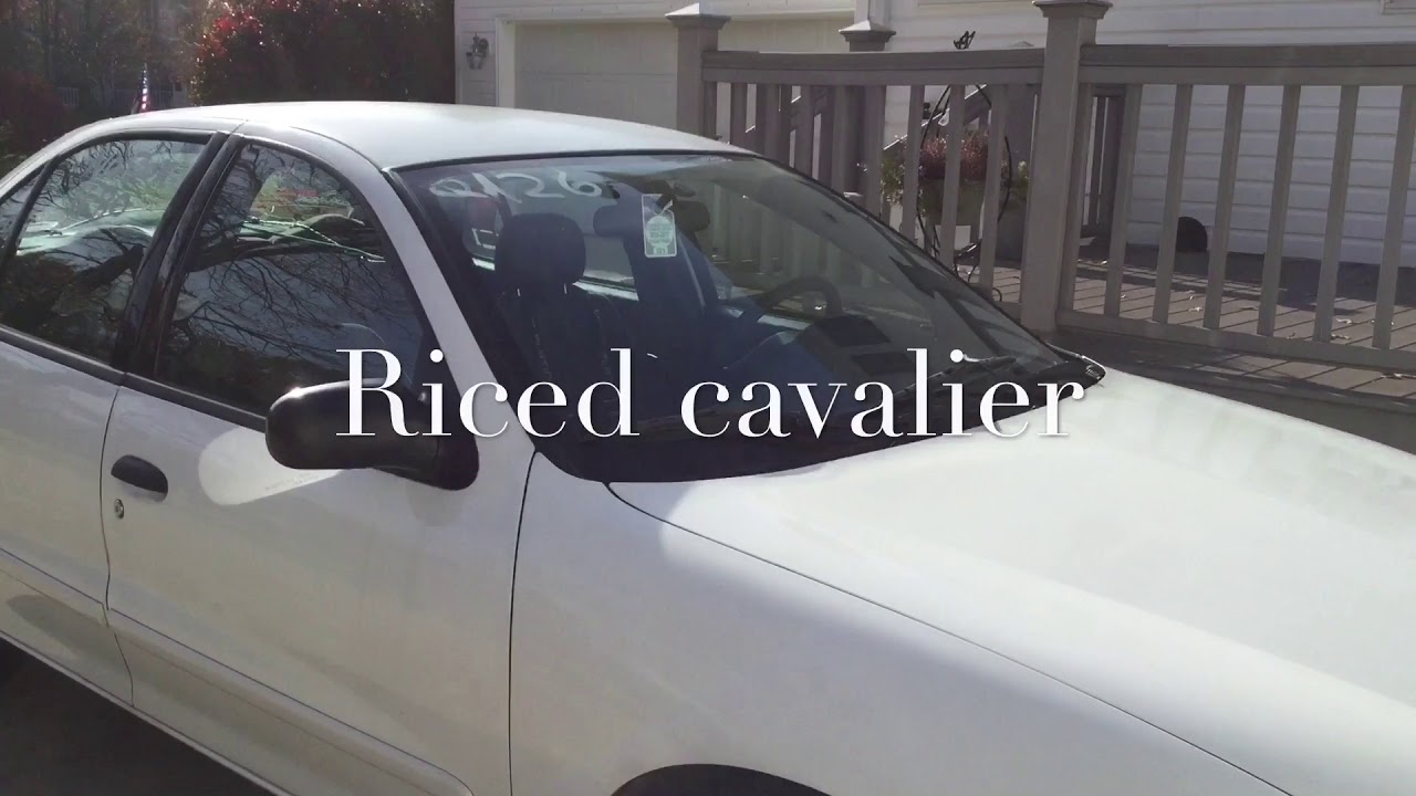Ricer cavalier - YouTube