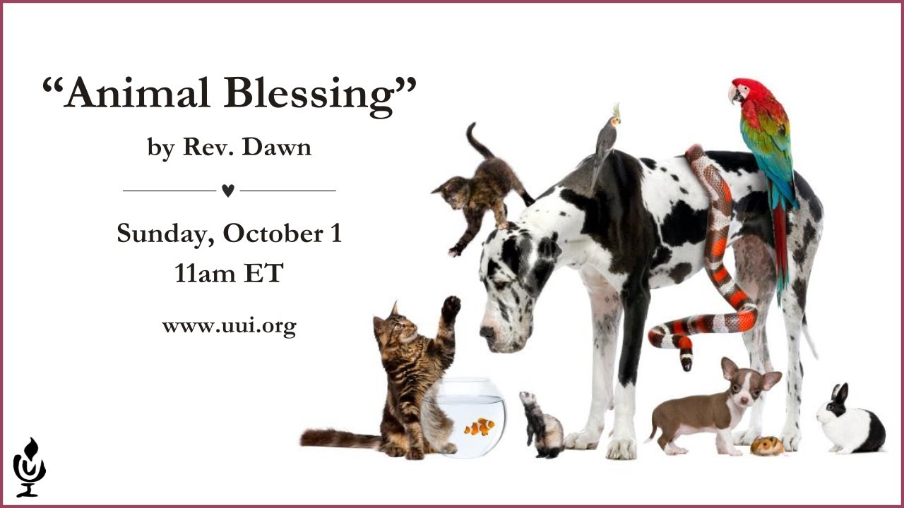 Sermon, October 1, 2023: “Animal Blessing” by Rev. Dawn Cooley - YouTube