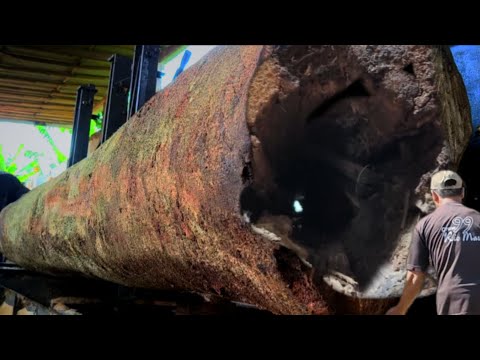 Tense Moments While Sawing Mysterious Logs at a Sawmill