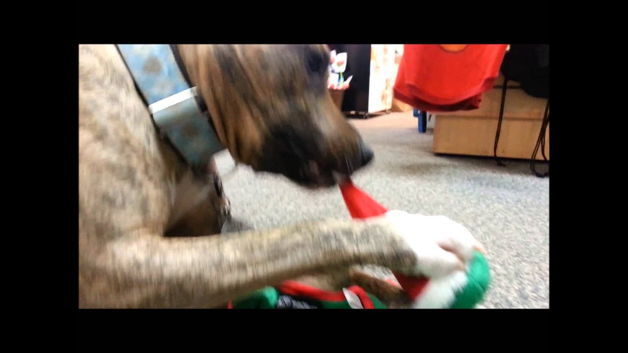 Iqube Puzzle Toy - Testing it Out for the Howlidays @ Sleep Rover ...