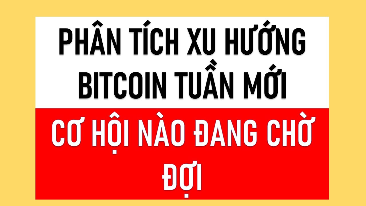 TRACOIN 360 | PHÂN TÍCH XU HƯỚNG BITCOIN TUẦN MỚI | CƠ HỘI NÀO ĐANG CHỜ ...