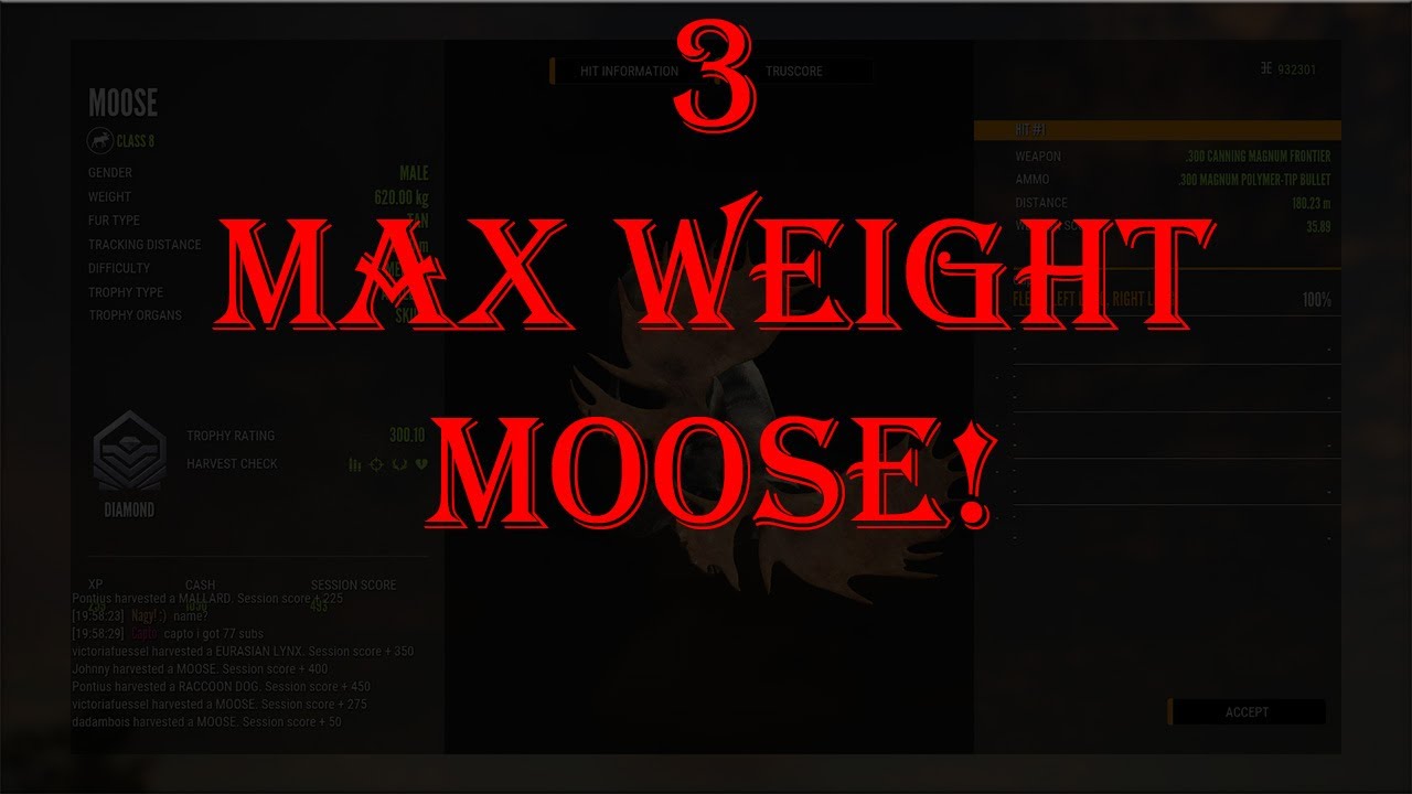 3 max weight moose in 5 minutes! - YouTube