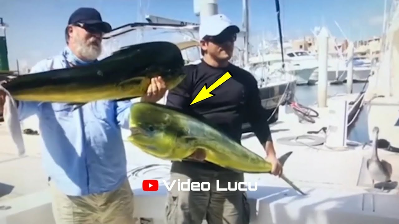 random para tolol lucu 2021🤣😂 - YouTube