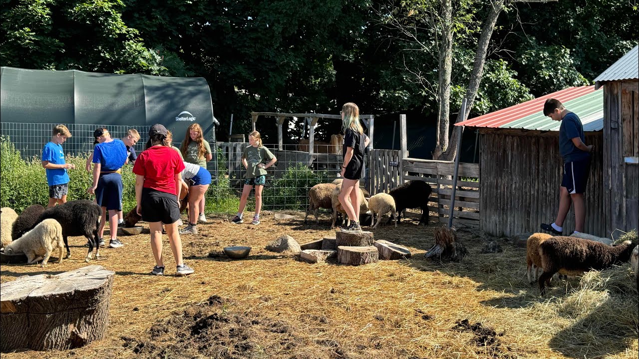 Farm Camp 2024 Week Three - YouTube