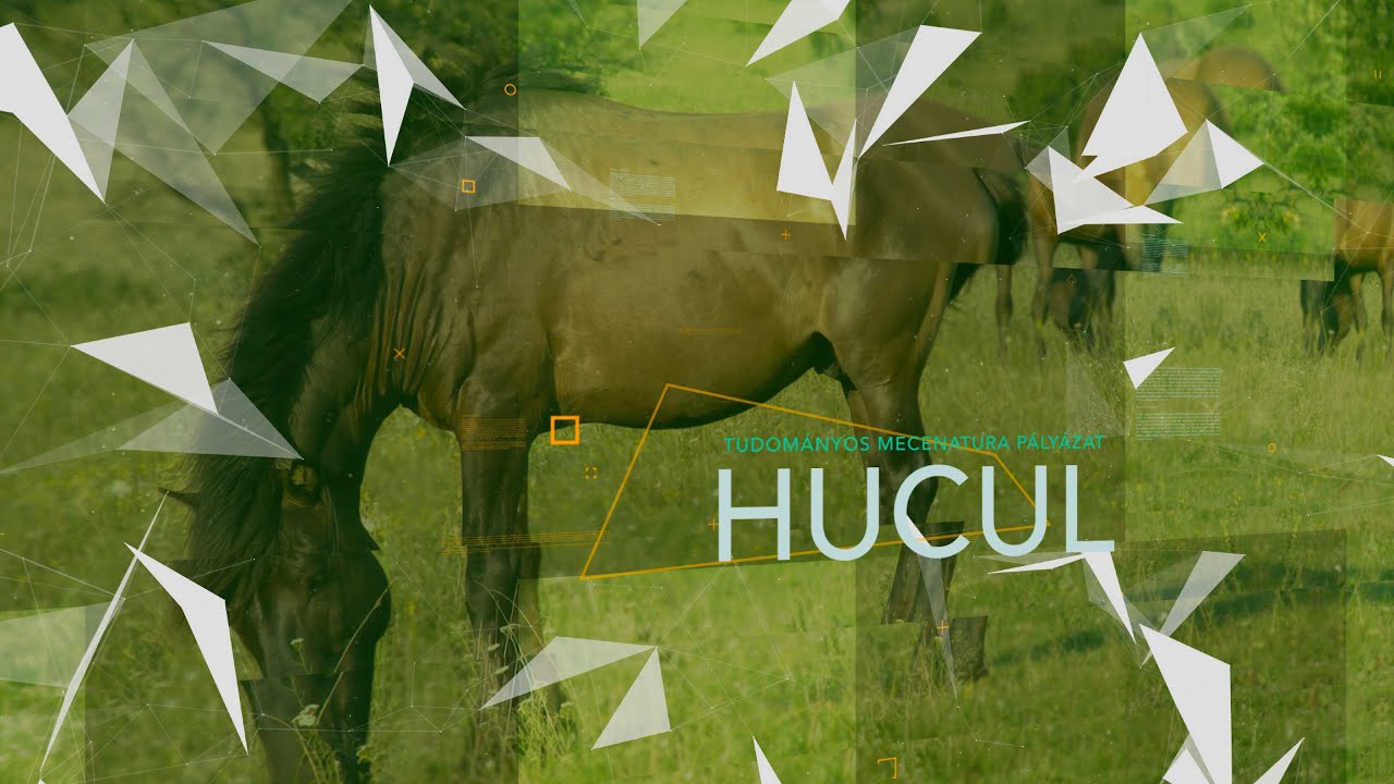 A hucul ló genetikai vizsgálata - YouTube