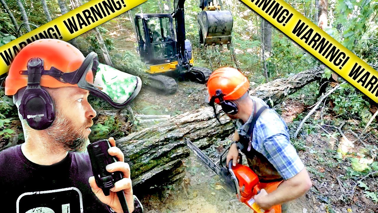 Cutting TREES for our REMODEL | But Why - YouTube