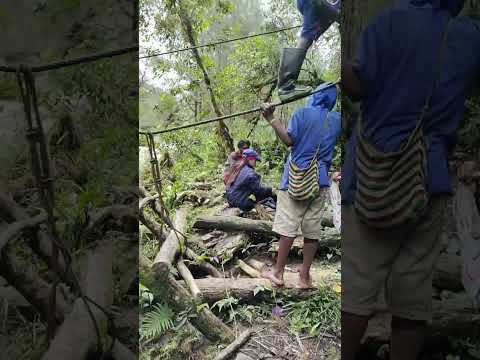 jembantan gantung di distrik hoya kabupaten mimika-papua tengah - YouTube