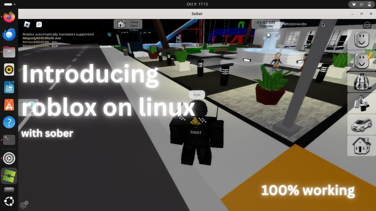 Introducing Roblox on LINUX with SOBER! | 100% WORKING | installation ...