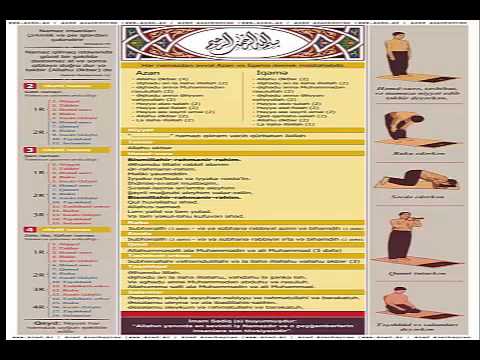 Aksin fateh zuhur ele