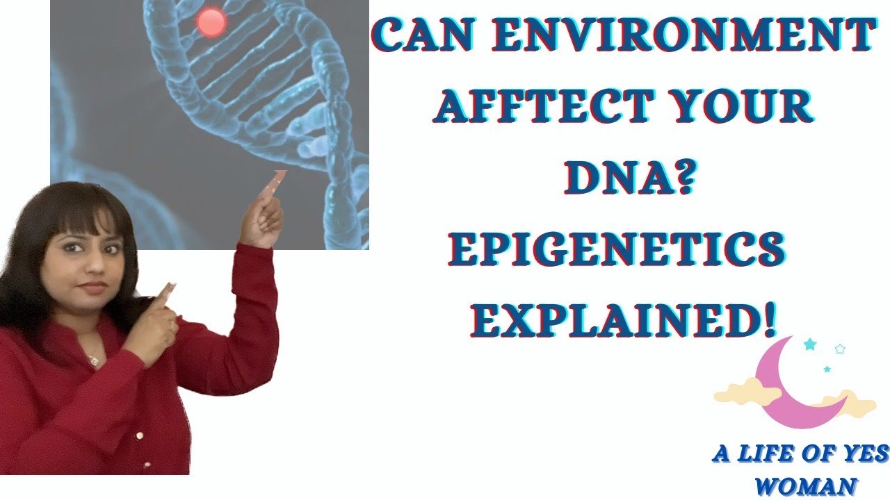Can environment affect your DNA? Epigenetics Explained! #epigeneticsinsimpleterms #epigenetics ...