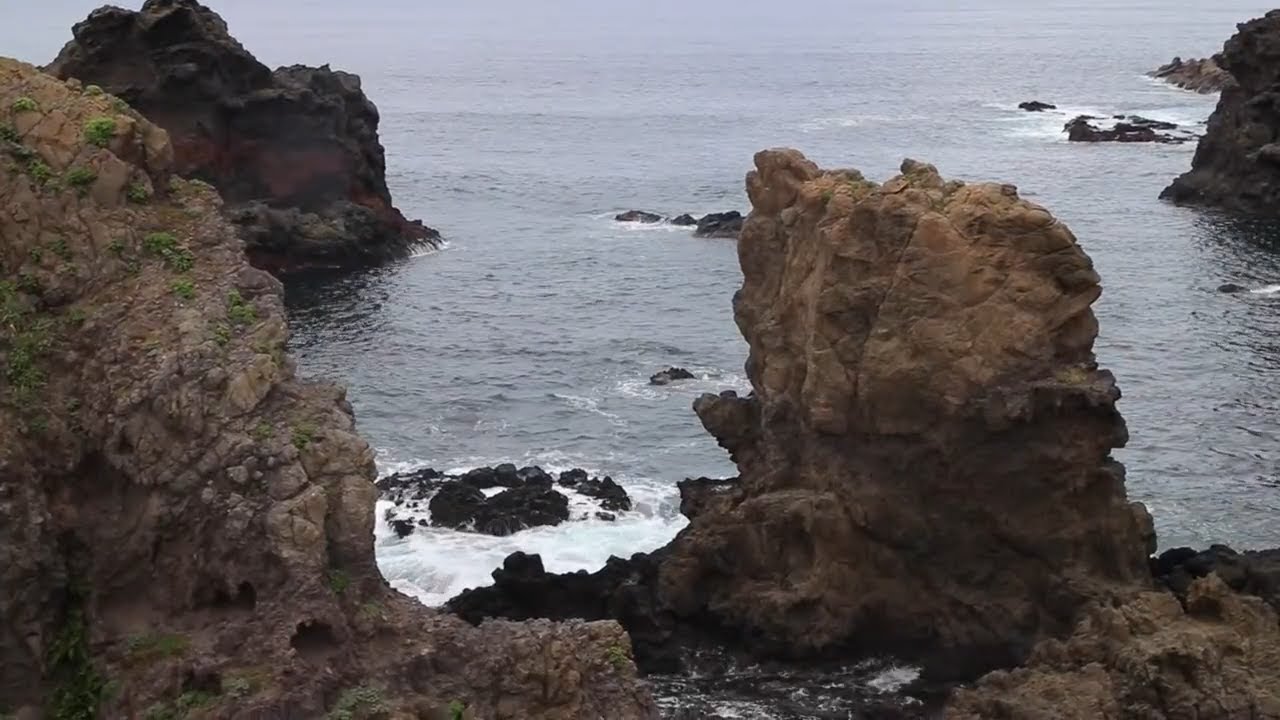 Why study environmental and energy policy at the LBJ School? - YouTube