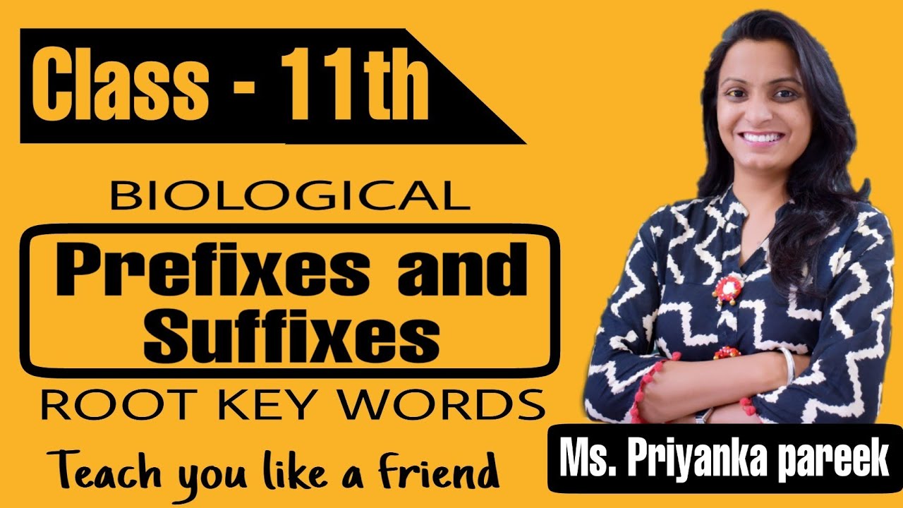 Biological Prefixes and Suffixes || Root key words || Latin and Greek ...