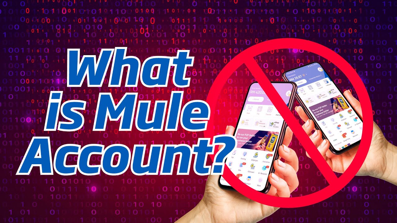 Don't Be A Mule Account - YouTube