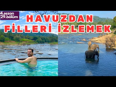 #4S/29B 🇱🇰 SABAH Bİ UYANDIM , FİLLER KAPIMA GELMİŞ !