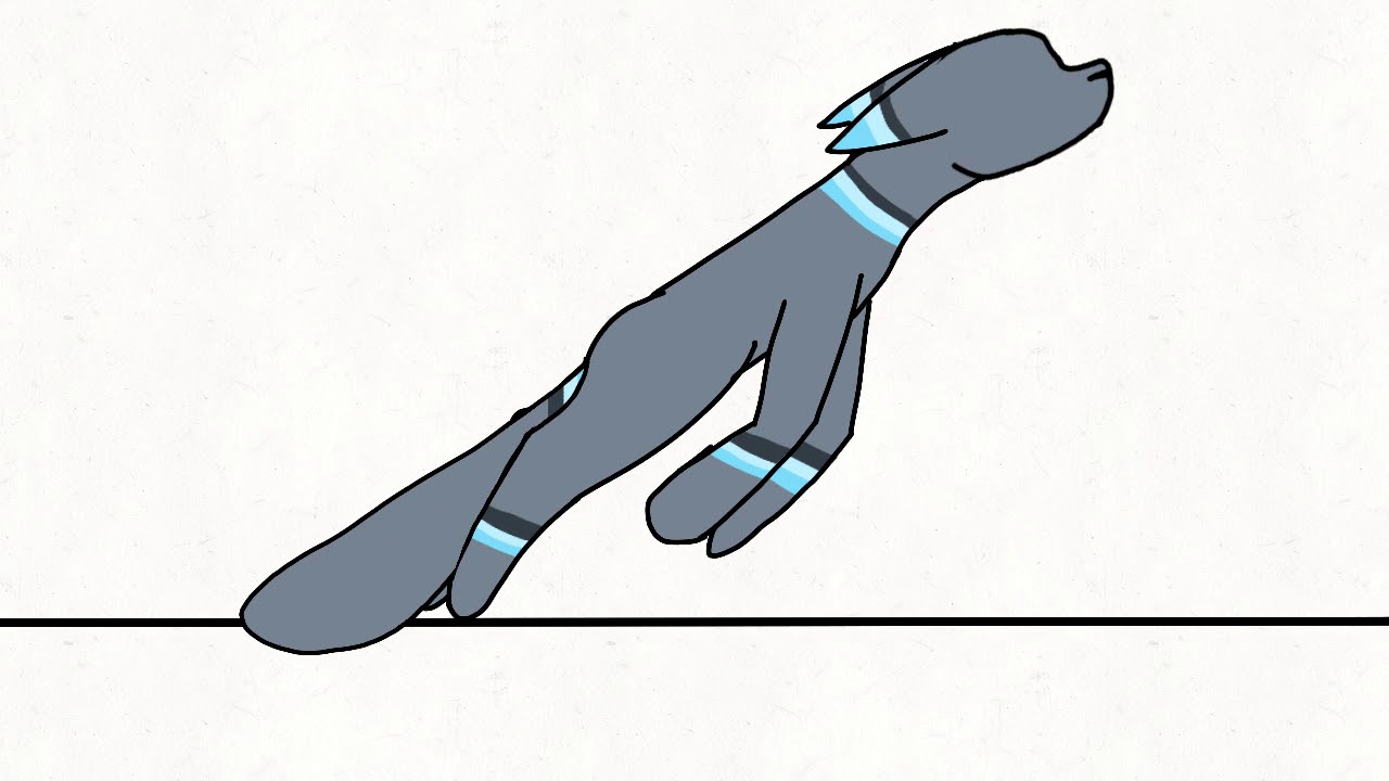 Cat Run/Jump Cycle - YouTube