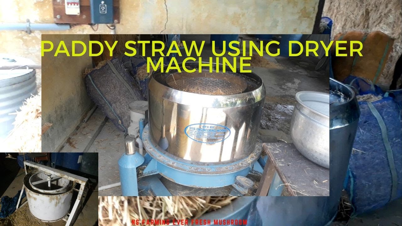 Paddy Straw Using Dryer Machine - YouTube