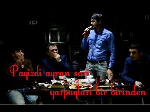Payizdi ayran sari yarpaqlari bir birinden 2016