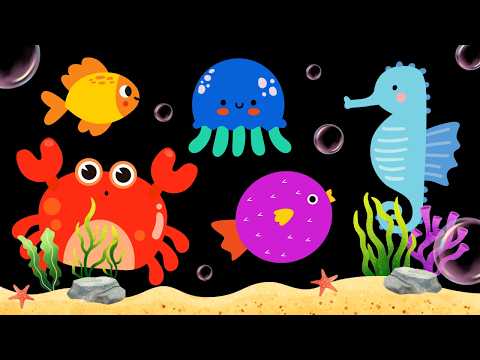 Baby Sensory Video – Newborn Visual Stimulation – Sensory Videos for Babies - Tummy Time #baby