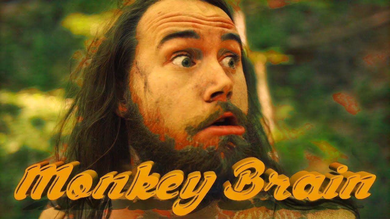 The Hushberry Kings - Monkey Brain Official Video - YouTube