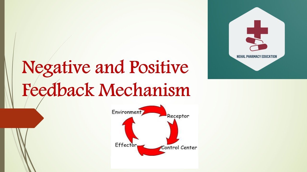 Negative and Positive Feedback Mechanism/Homeostasis/Anatomy/Physiology ...