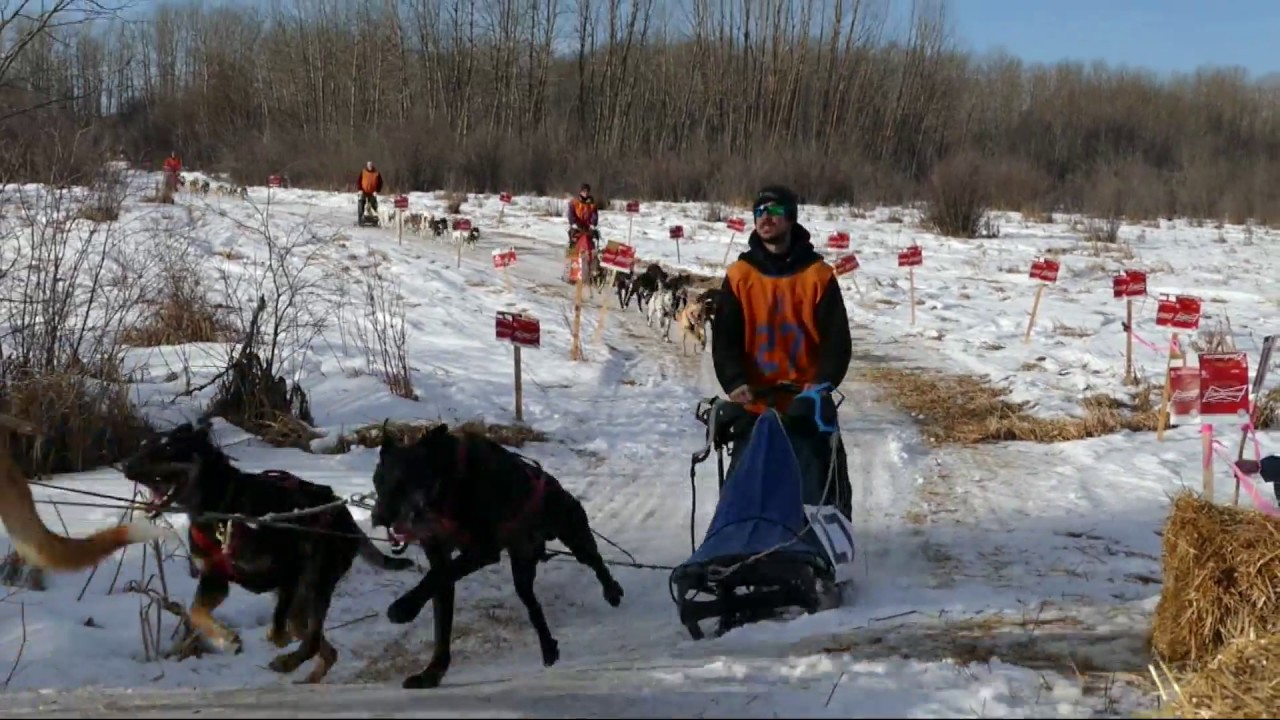 Manitoba Trappers Festival - 2017 World Championship Dog Race - YouTube