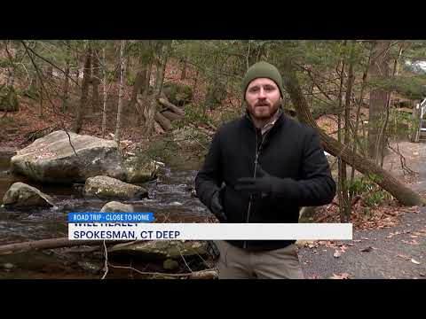 Road Trip: Close to Home - Enders State Forest in Granby